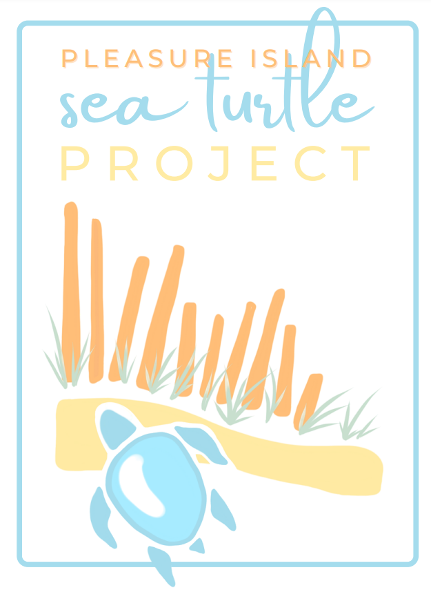 Pleasure Island Sea Turtle Project working to ensure the preservation ...